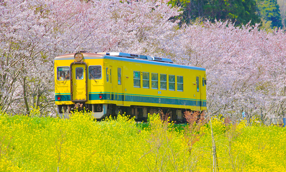 社会貢献活動 (CSR) | JAPANNEXT公式